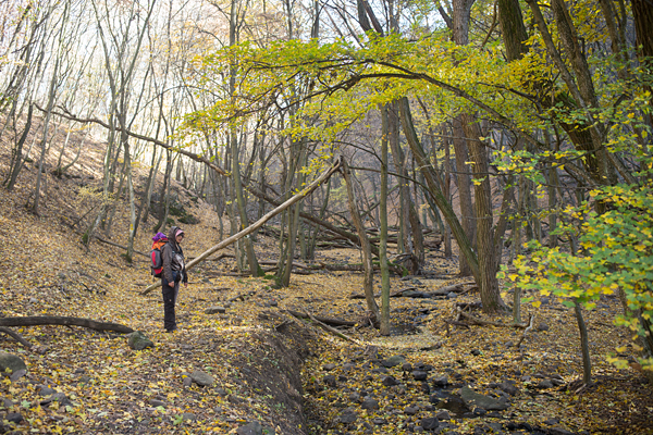 Mátra Hegység – Auch Ungarn hat Gipfel | Wandern & Flanieren